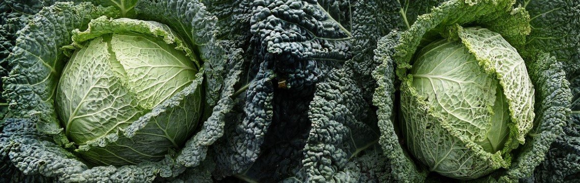 Kohlgemüse | Produkte | Gesund & Munter FrischeKiste
